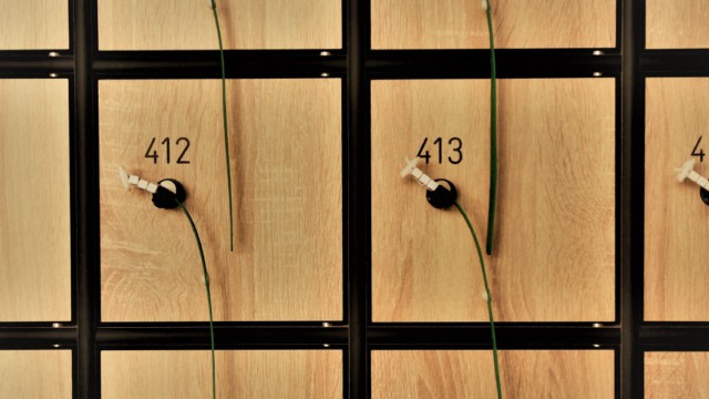 What is Master Data and Why Does it Matter? – ecosio